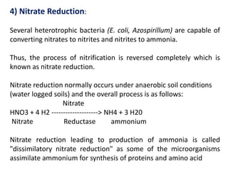 Nitrogen cycle | PPTX