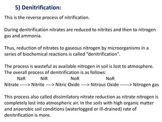 Nitrogen cycle | PPTX