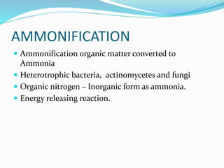Nitrogen cycle | PPTX
