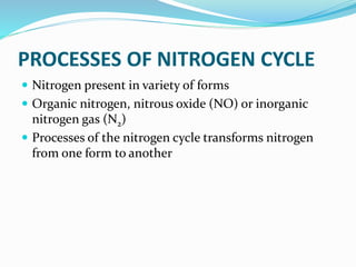 Nitrogen cycle | PPTX