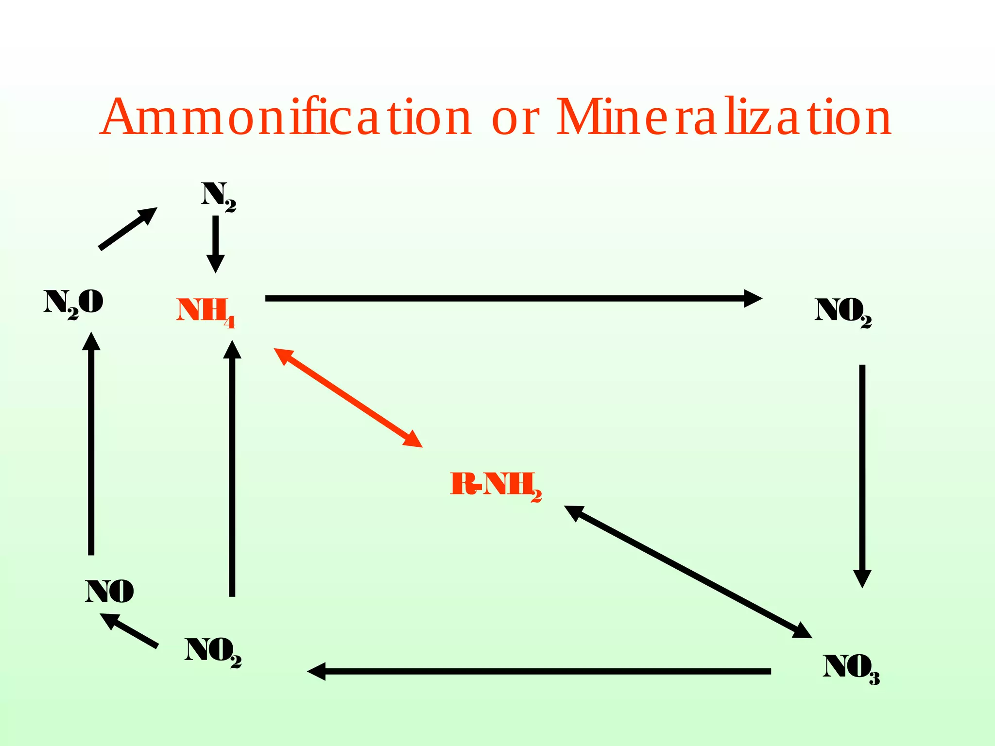 Nitrogen cycle | PPT