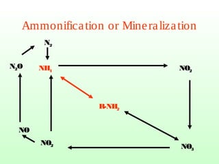 Nitrogen cycle | PPT | Chemistry | Science