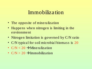 Nitrogen cycle | PPT