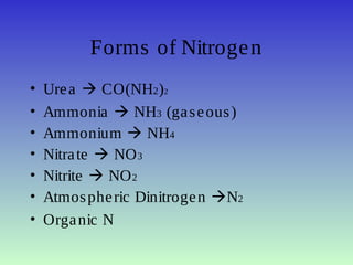 Nitrogen cycle | PPT