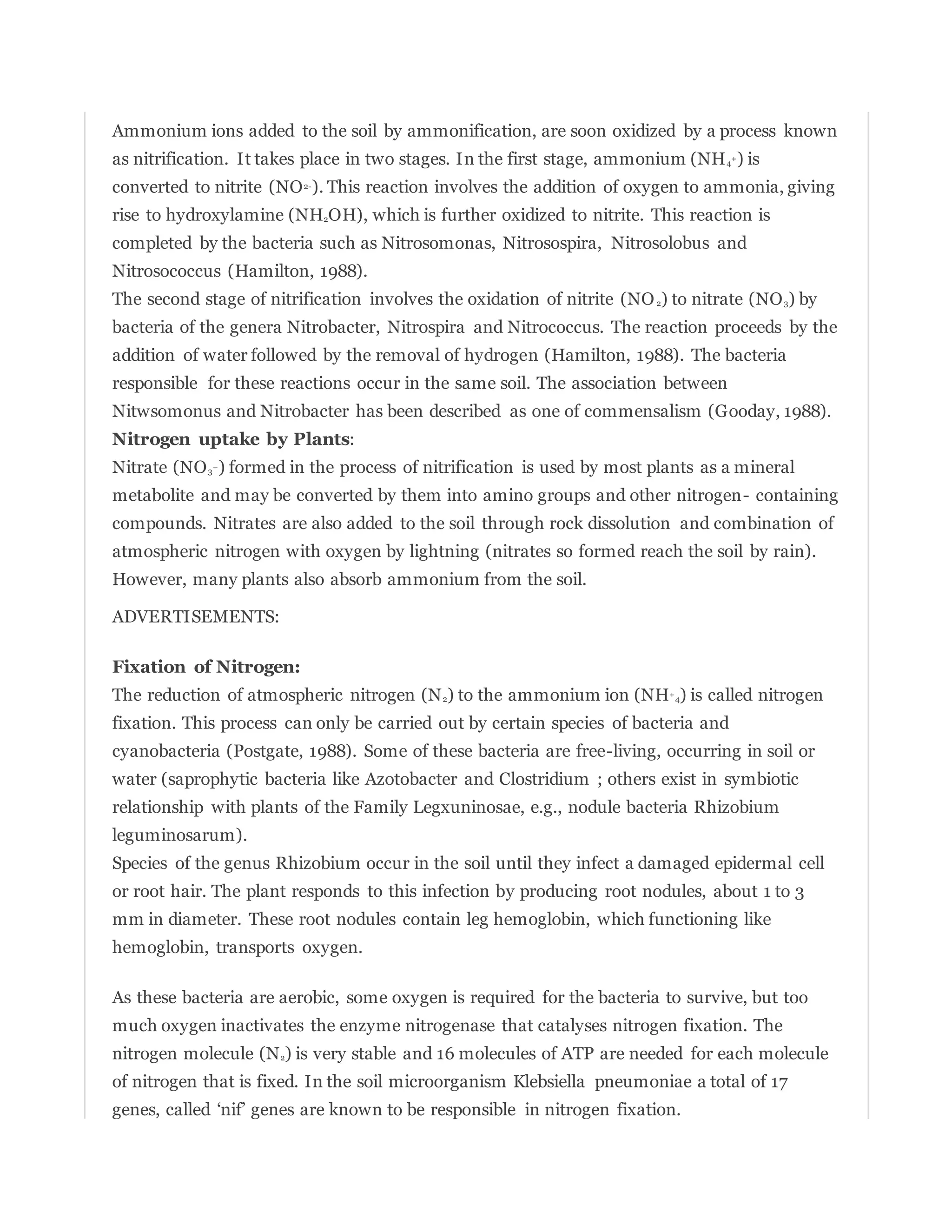 Nitrogen cycle | DOCX