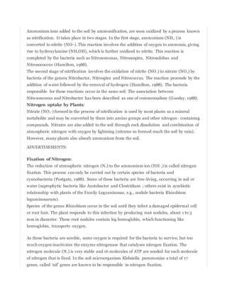Nitrogen cycle | DOCX