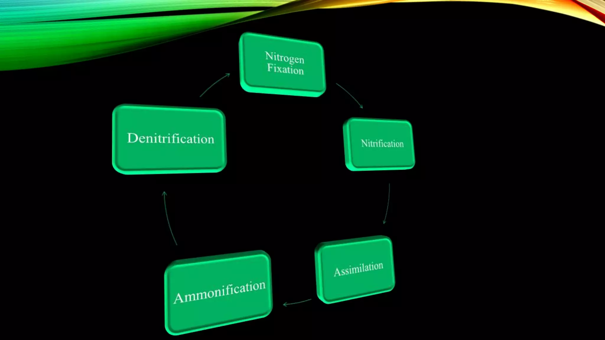 Nitrogen cycle | PPT