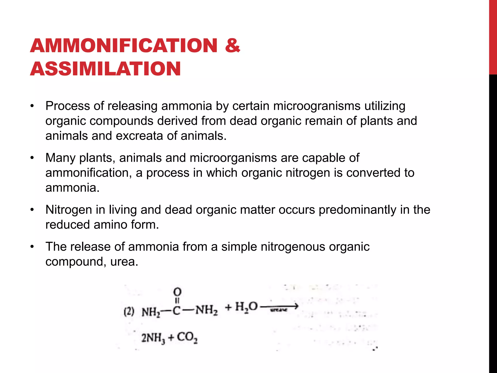 Nitrogen cycle and NITROGEN FIXATION | PPTX