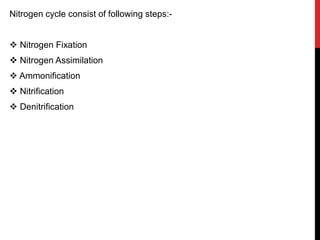 Nitrogen cycle and NITROGEN FIXATION | PPTX