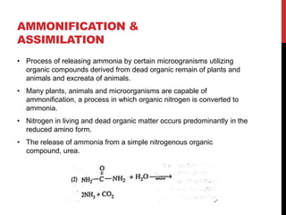 Nitrogen cycle and NITROGEN FIXATION | PPTX