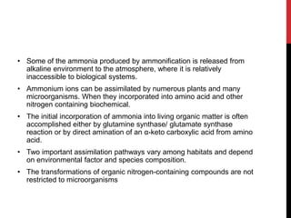 Nitrogen cycle and NITROGEN FIXATION | PPTX