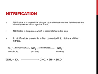 Nitrogen cycle and NITROGEN FIXATION | PPTX