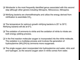 Nitrogen cycle and NITROGEN FIXATION | PPTX
