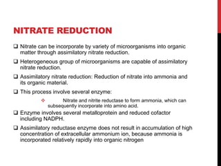 Nitrogen cycle and NITROGEN FIXATION | PPTX