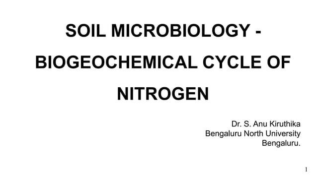 Nitrogen cycle | PPT