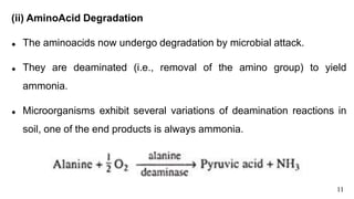 Nitrogen cycle | PPT