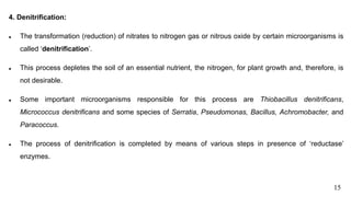 Nitrogen cycle | PPT