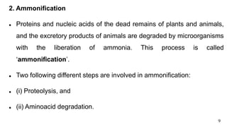 Nitrogen cycle | PPT
