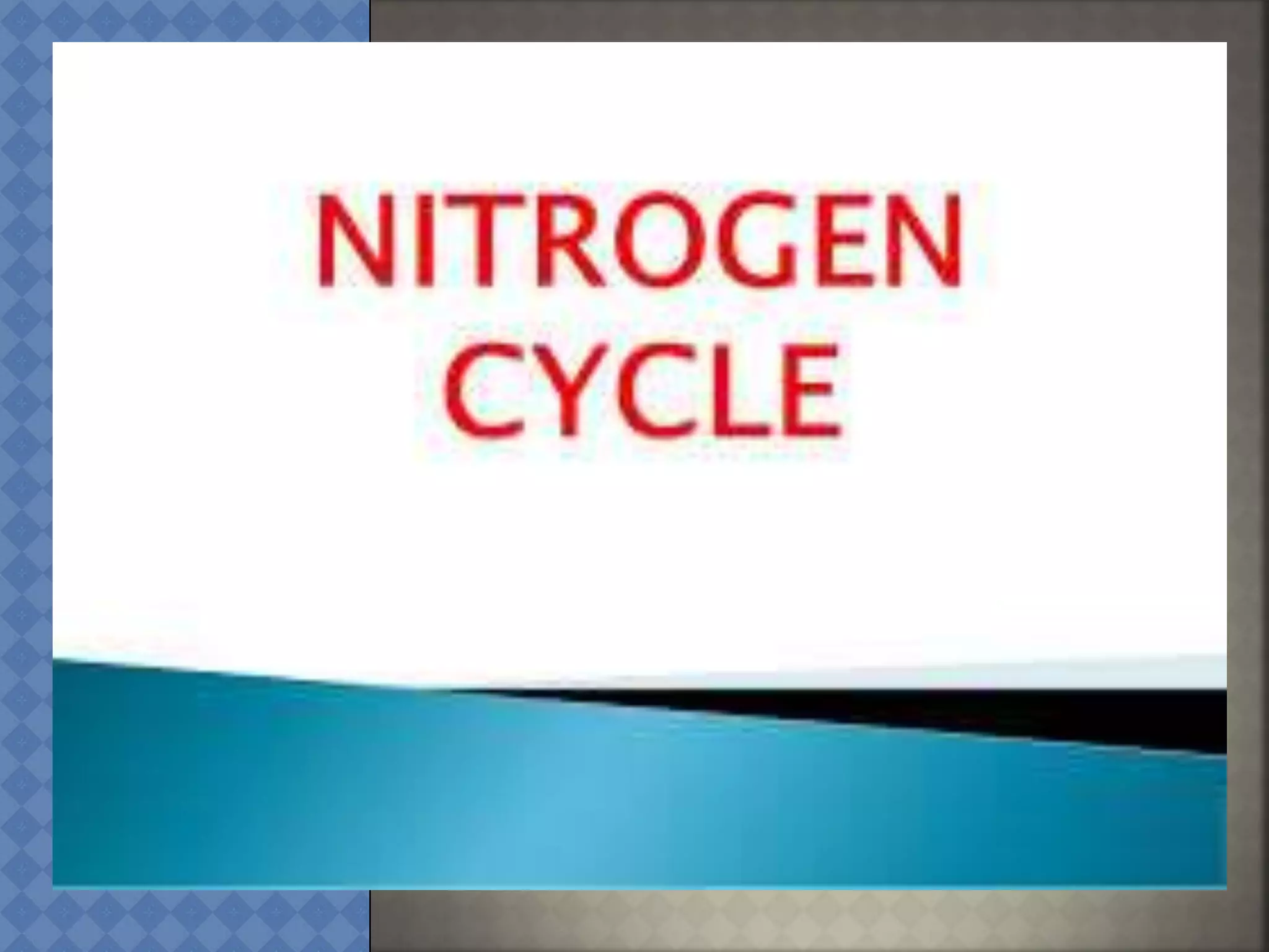 Nitrogen cycle | PPTX