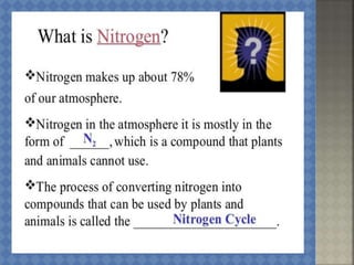 Nitrogen cycle | PPT