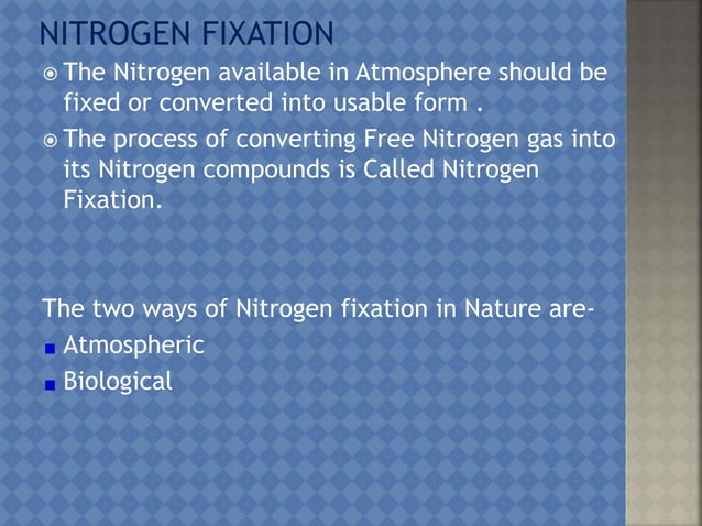 Nitrogen cycle | PPT