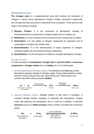 Nitrogen Cycle | PDF