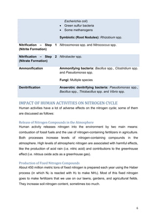 Nitrogen Cycle | PDF