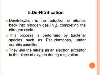 Nitrogen cycle | PPTX