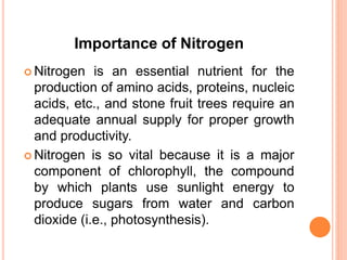 Nitrogen cycle | PPTX