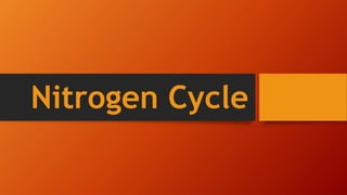 Nitrogen cycle | PDF