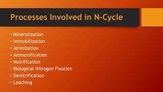 Nitrogen cycle | PDF