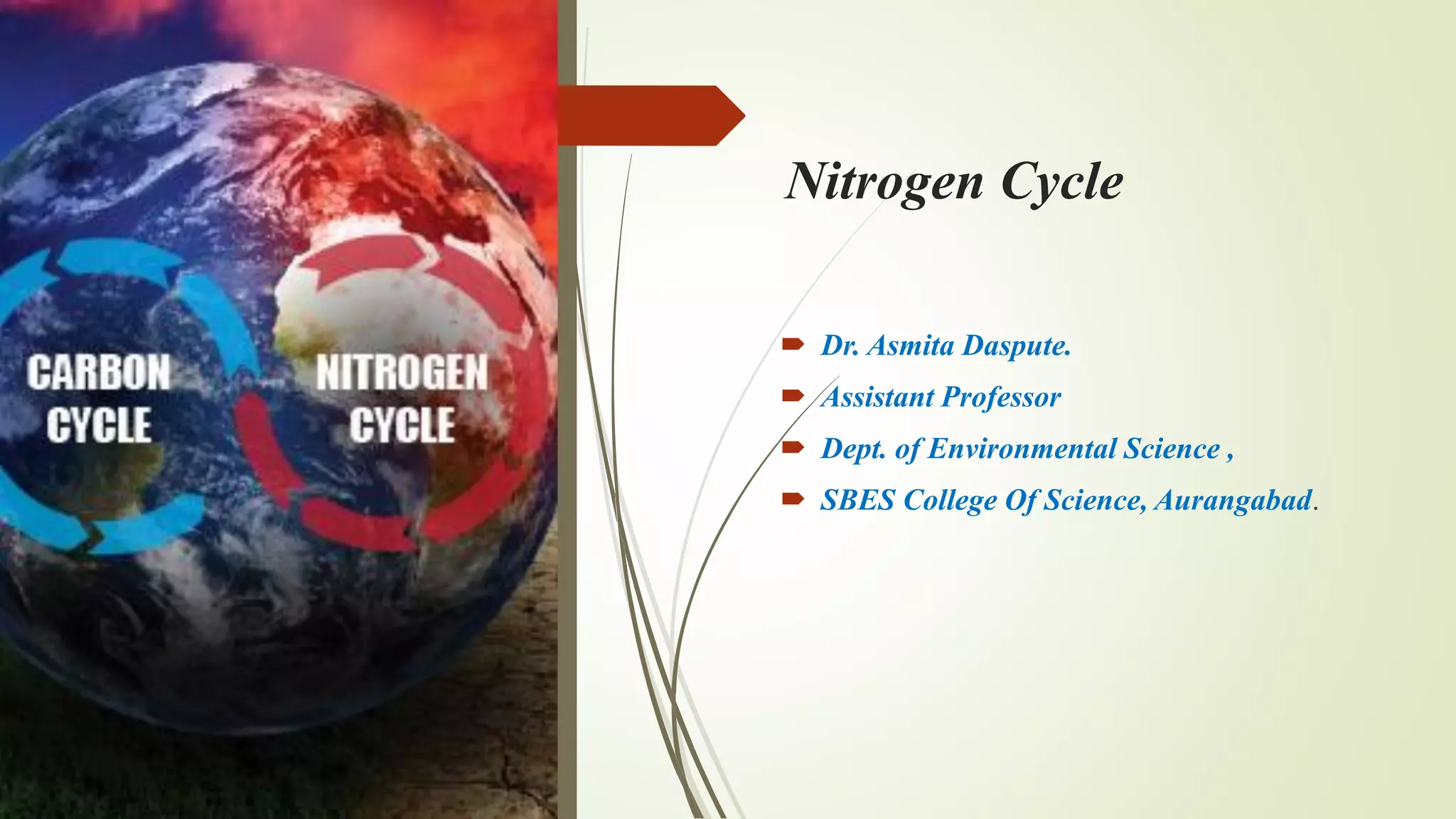 Nitrogen cycle | PDF