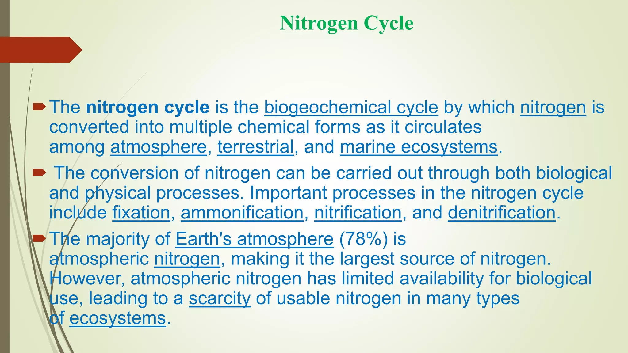 Nitrogen cycle | PDF