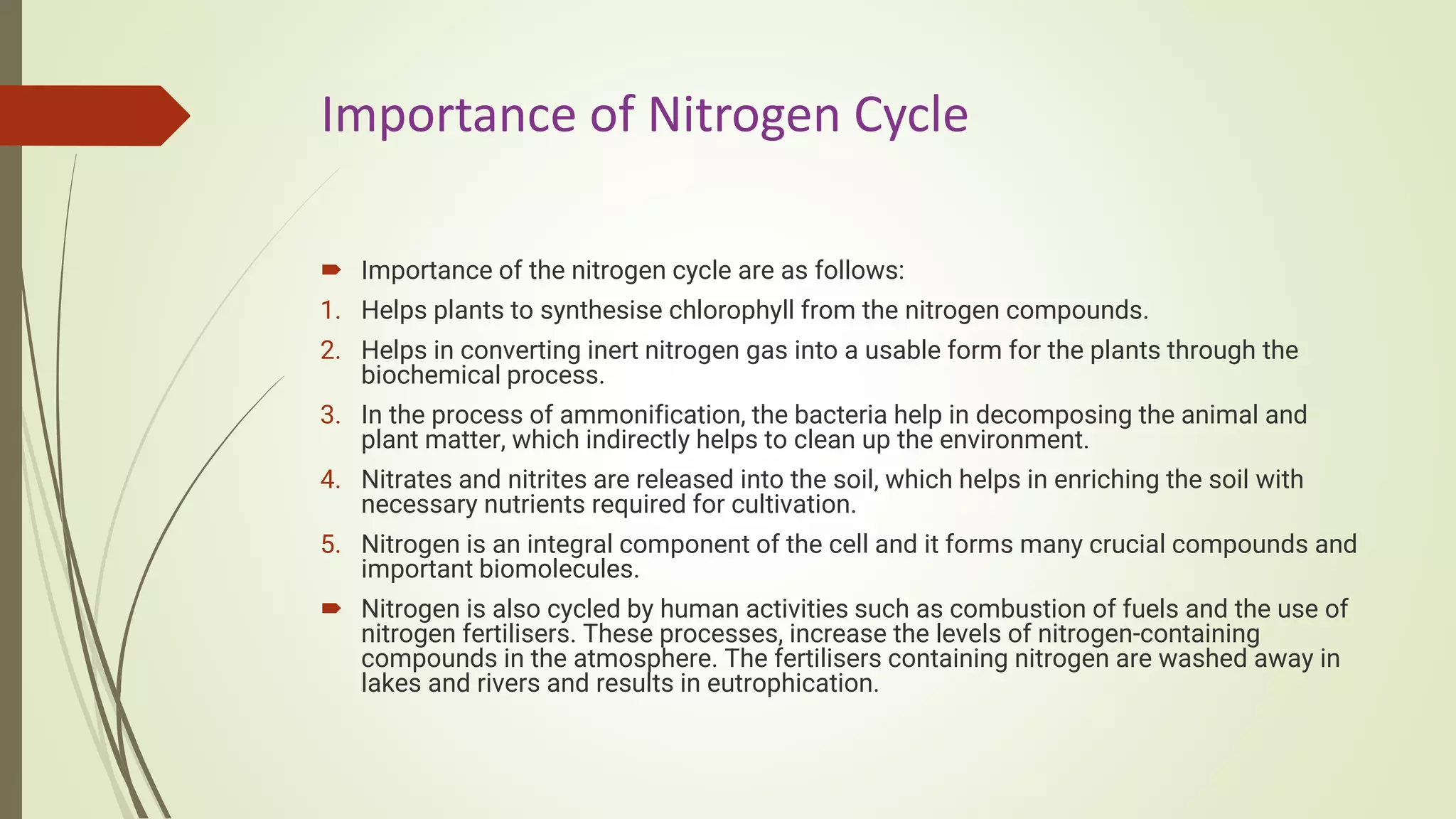 Nitrogen cycle | PDF