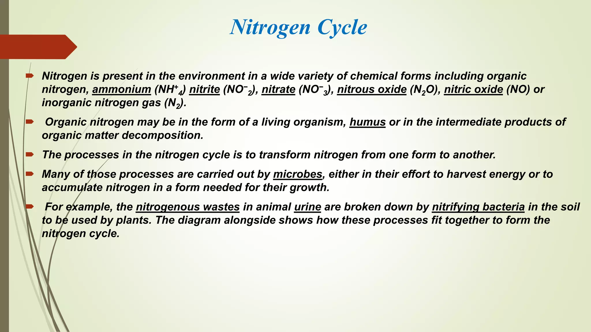 Nitrogen cycle | PDF
