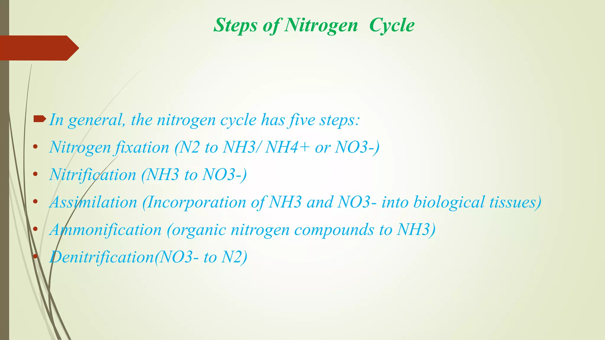Nitrogen cycle | PDF