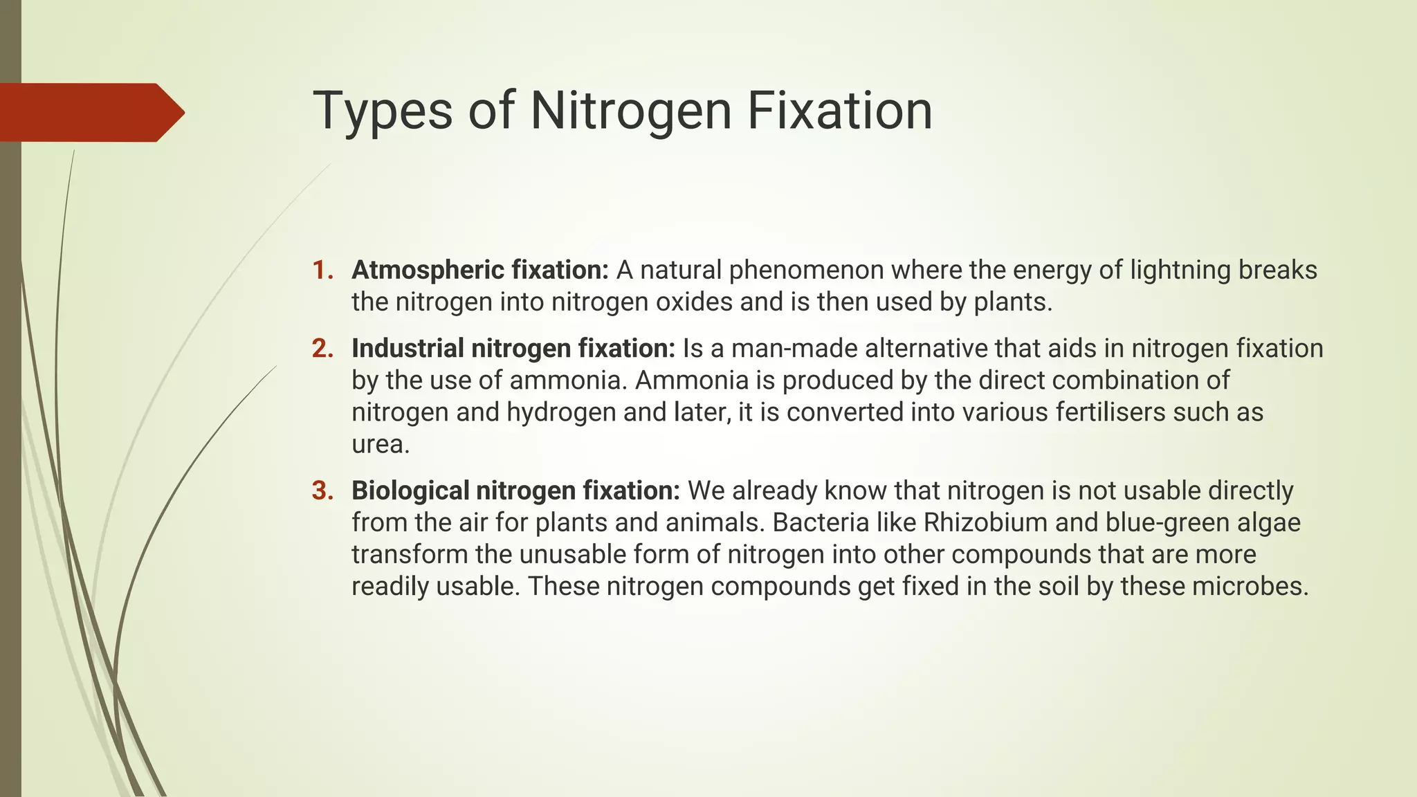 Nitrogen cycle | PDF
