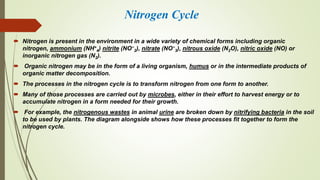 Nitrogen cycle | PDF