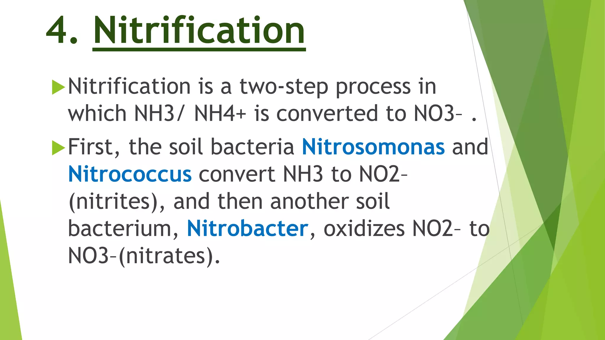 Nitrogen Cycle_ SlideShare | PPTX