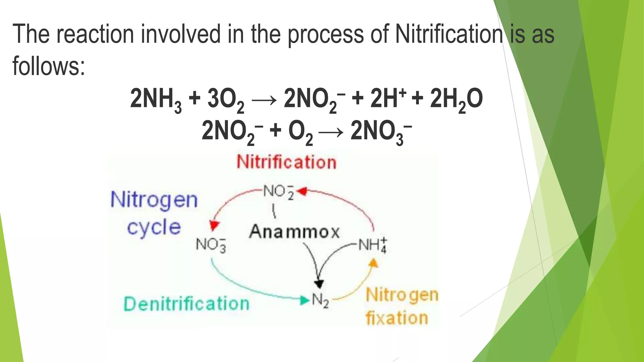 Nitrogen Cycle_ SlideShare | PPTX
