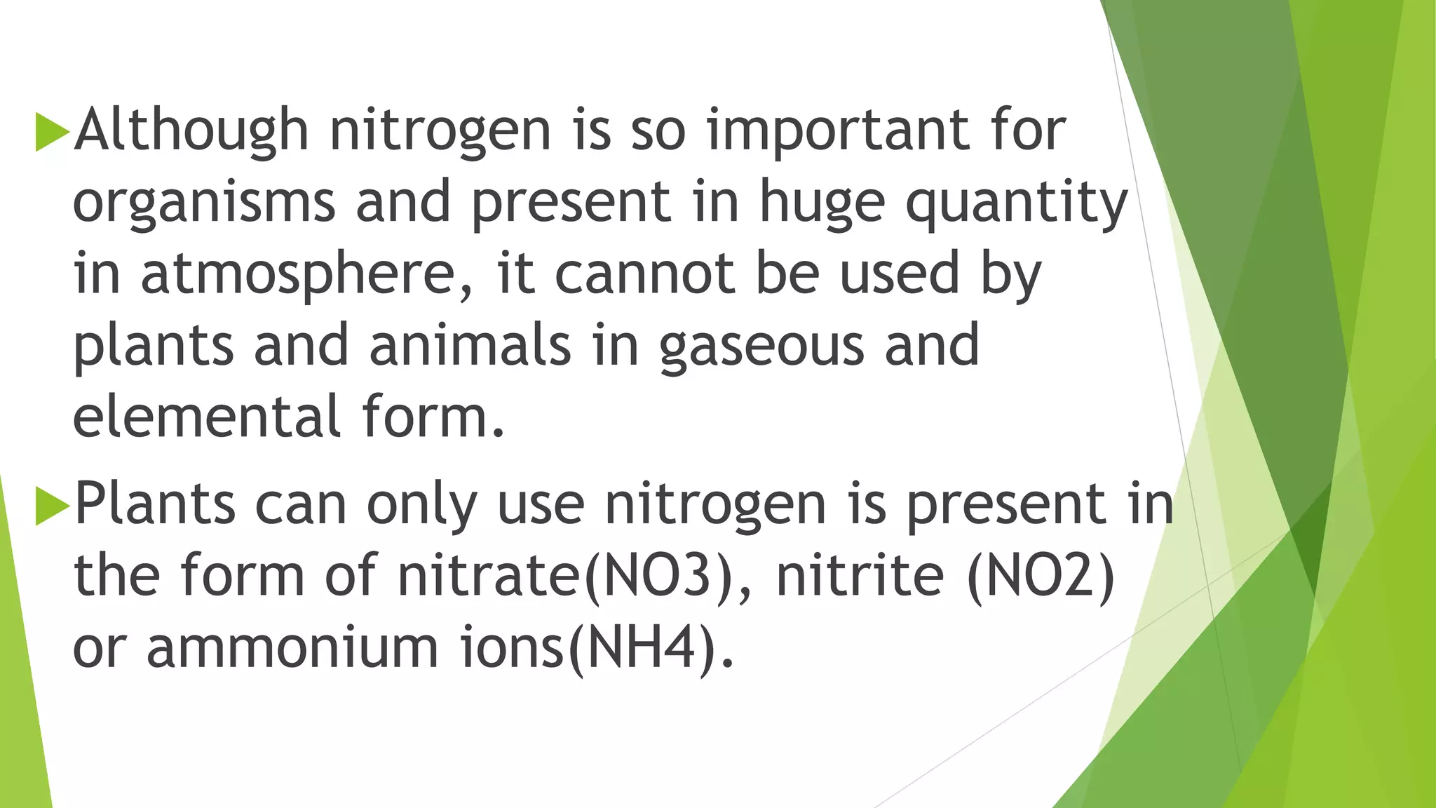 Nitrogen Cycle_ SlideShare | PPTX