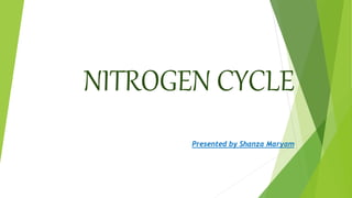 Nitrogen Cycle_ SlideShare | PPTX