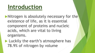 Nitrogen Cycle_ SlideShare | PPTX