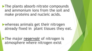 Nitrogen Cycle_ SlideShare | PPTX