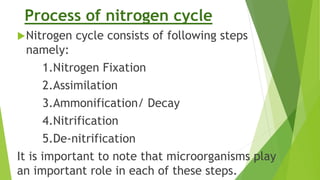 Nitrogen Cycle_ SlideShare | PPTX