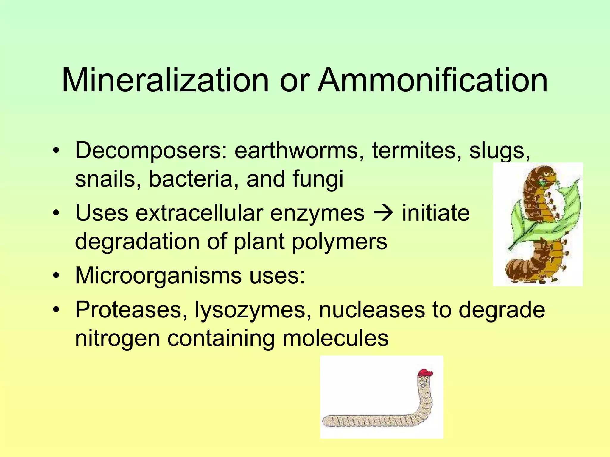 Nitrogen Cycle.ppt | Free Download