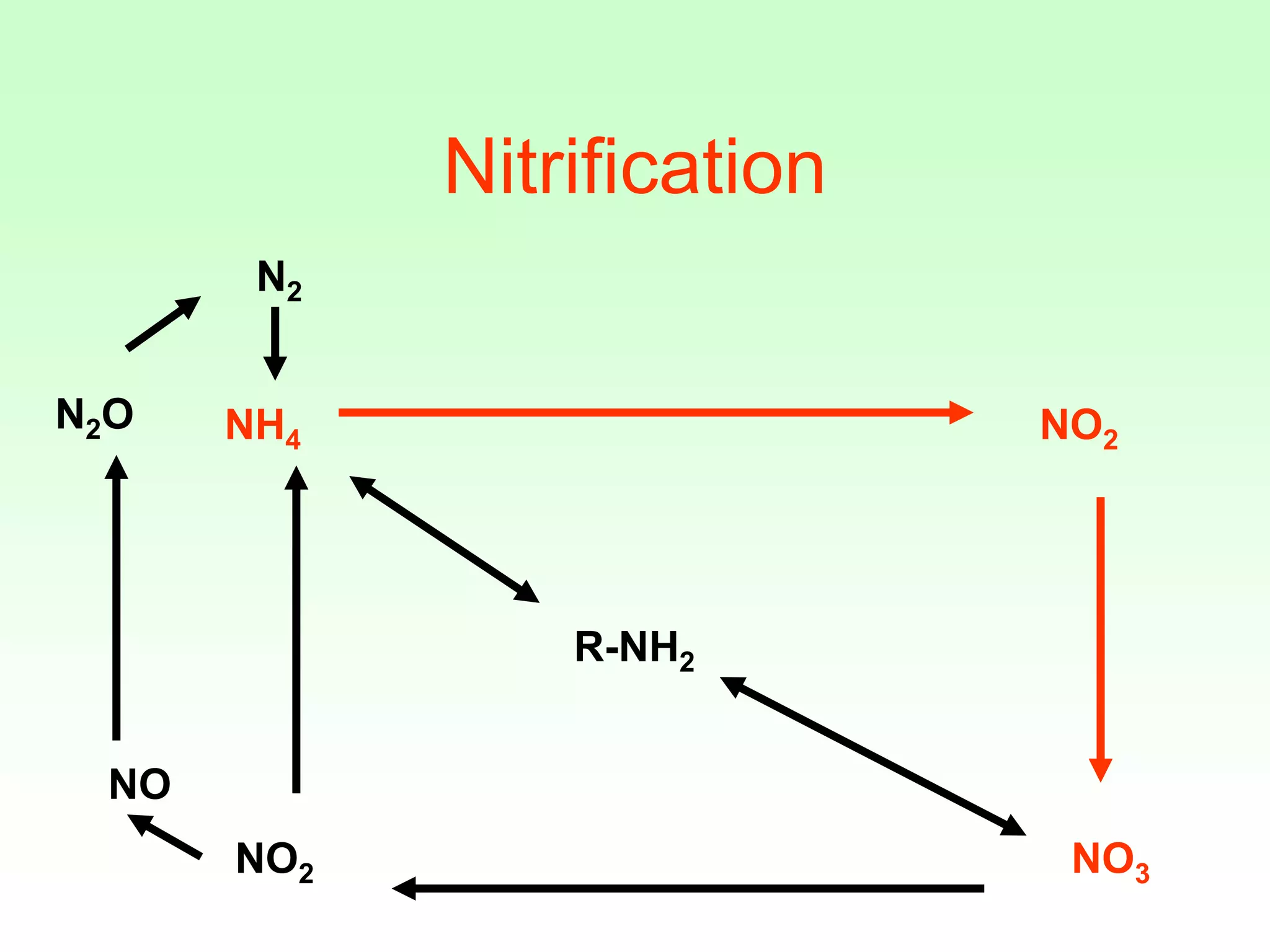 Nitrogen Cycle.ppt