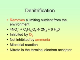 Nitrogen Cycle.ppt