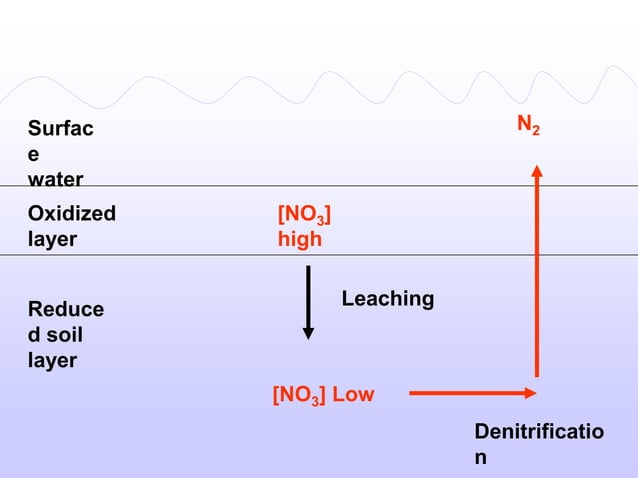 Nitrogen Cycle.ppt