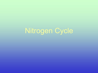 Nitrogen Cycle.ppt